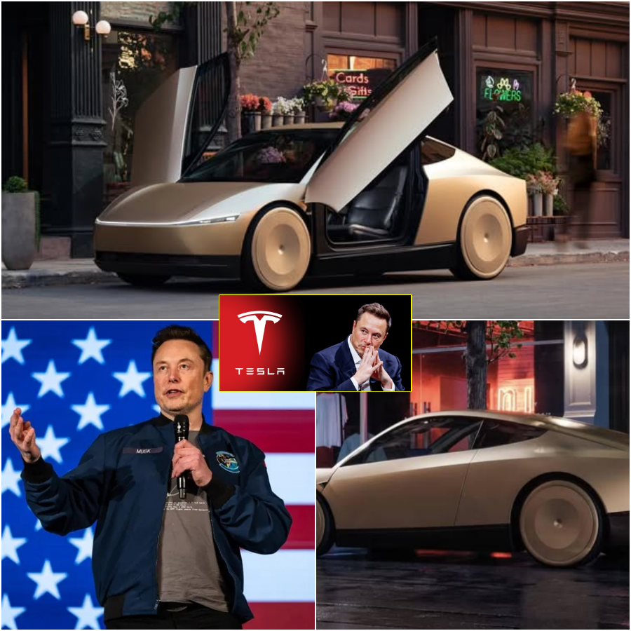 Elon Musk shocked the world when he unveiled his new car. The car looks ...